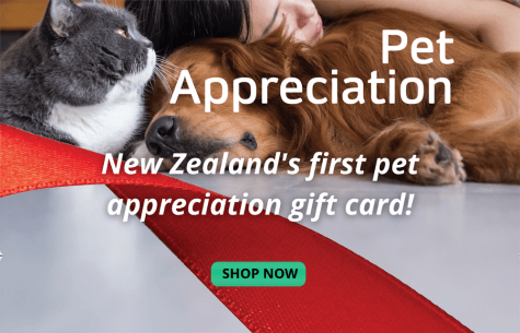 Bonfire Gift Card | Prepaid Gift Mastercard